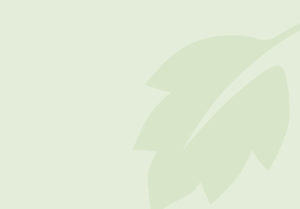 Home - Weston Ridge Apartments